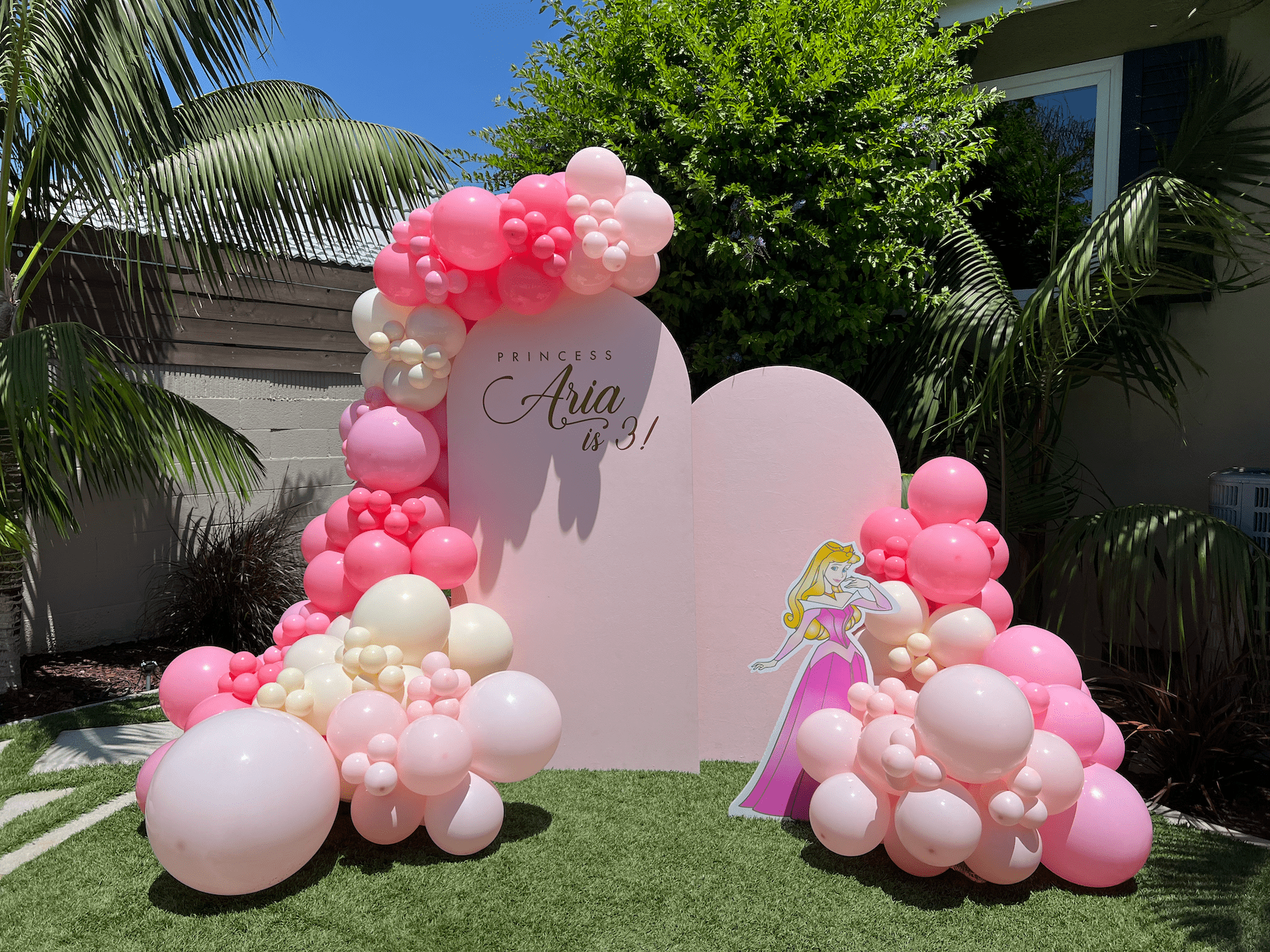 Princess Balloon Decorations in Orange County